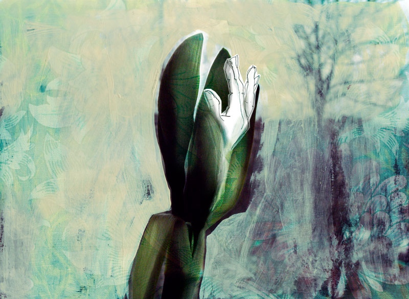 Maija Liduma / illustrations / comics / Comics